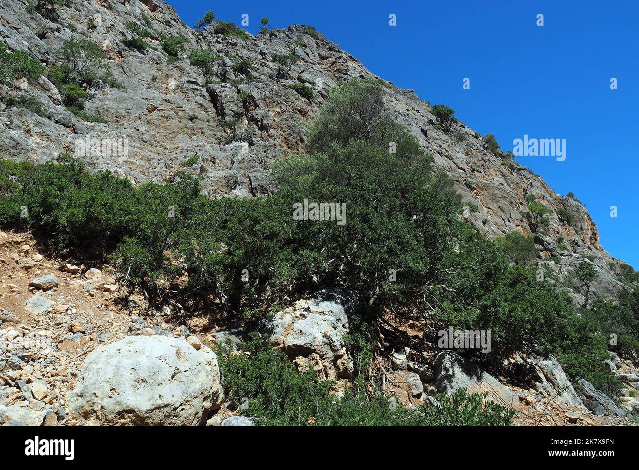 Agiofarango hi-res stock photography and images - Alamy