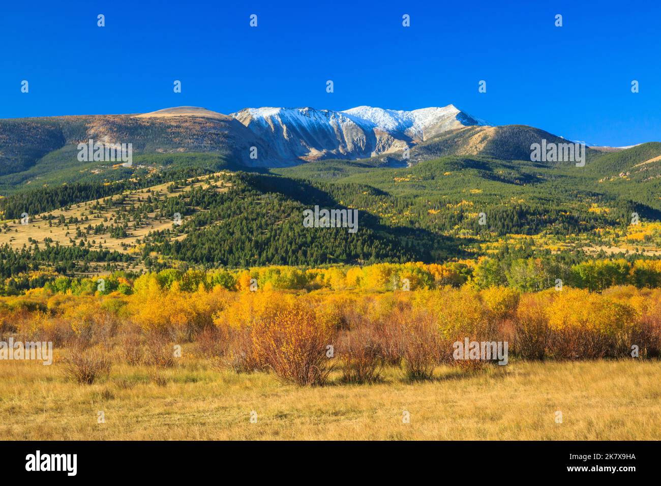 Anaconda range hi-res stock photography and images - Alamy