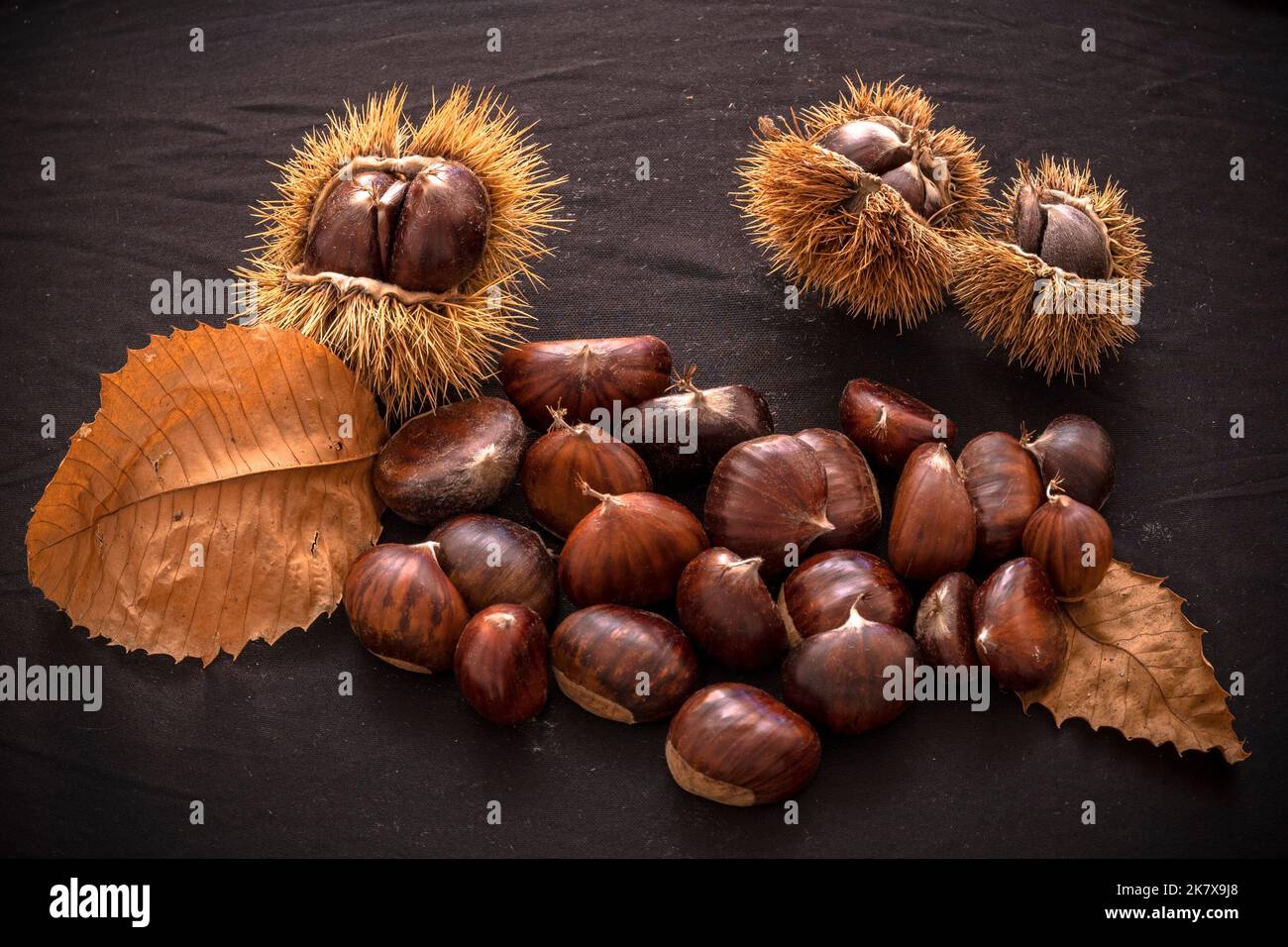 Sweet ripe chestnuts fruit hi-res stock photography and images - Alamy
