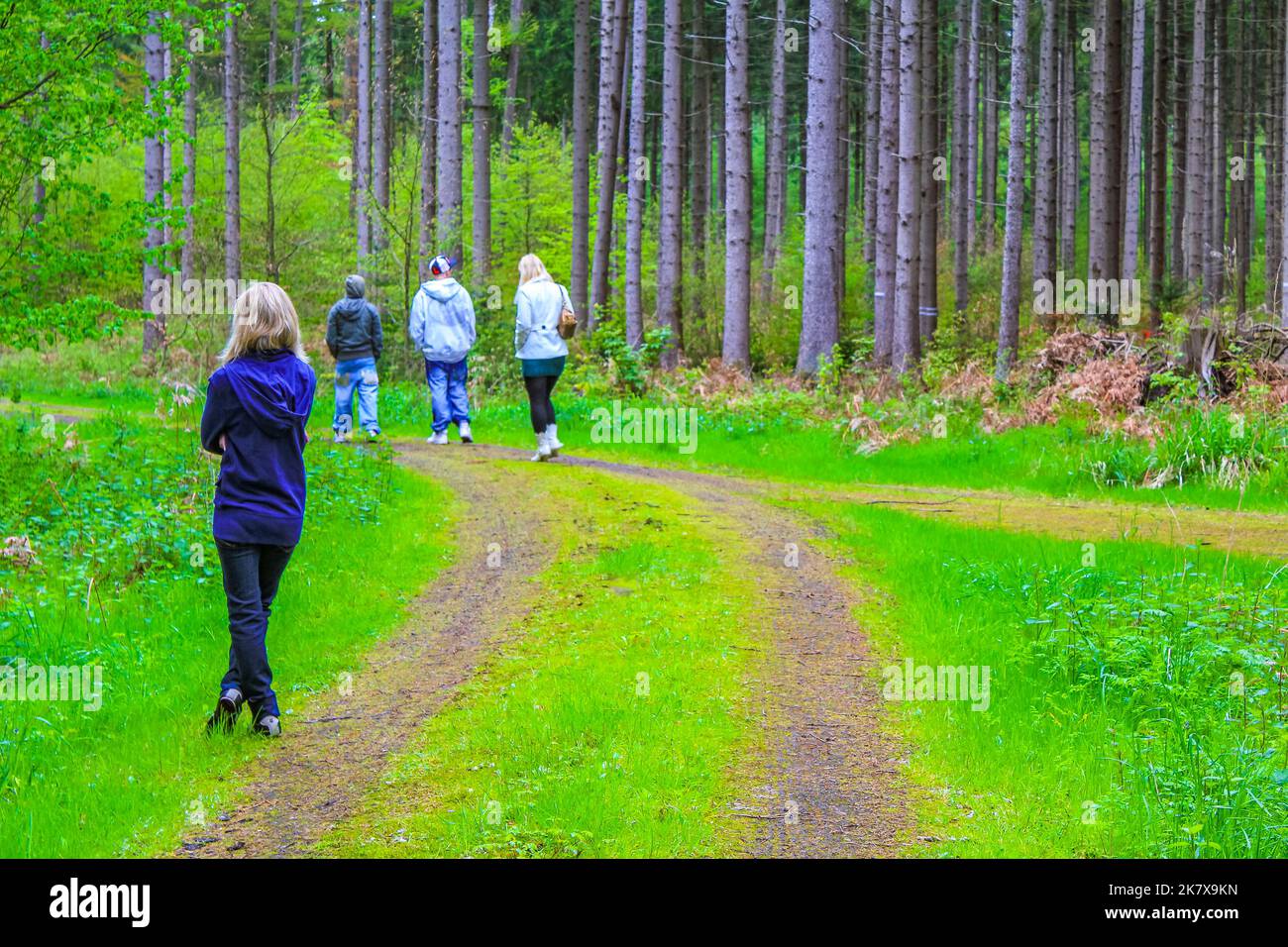 Young people teenagers walking through the forest without fear in ...