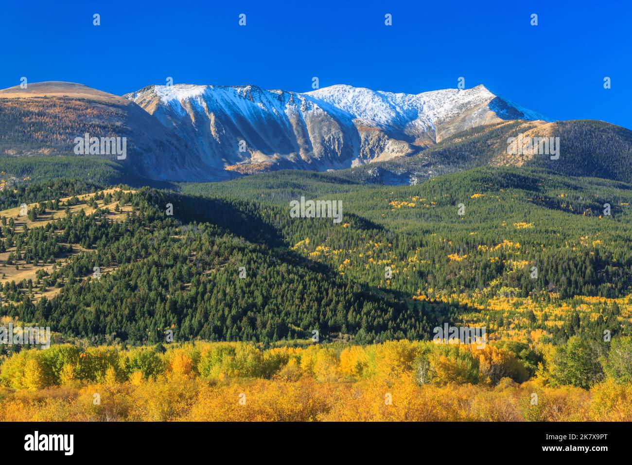fall colors below mount haggin in the anaconda range near anaconda ...