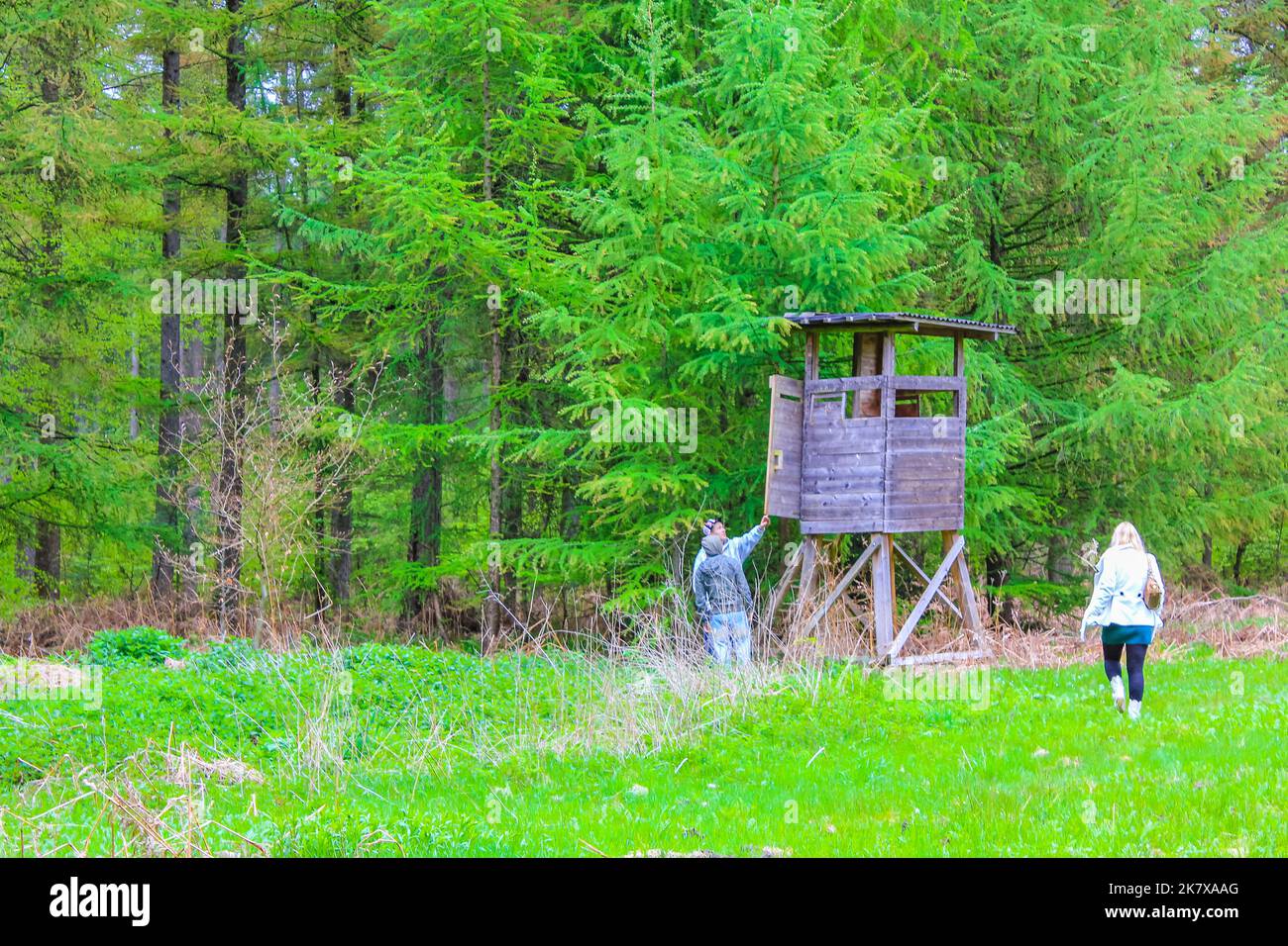 Watchtower shooting range in the forest by the field in Cuxhaven Lower ...