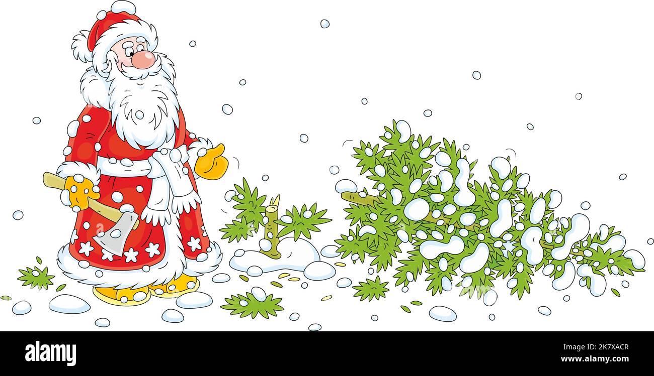 Santa Claus with an axe and a felled green fir tree on a snowy forest ...