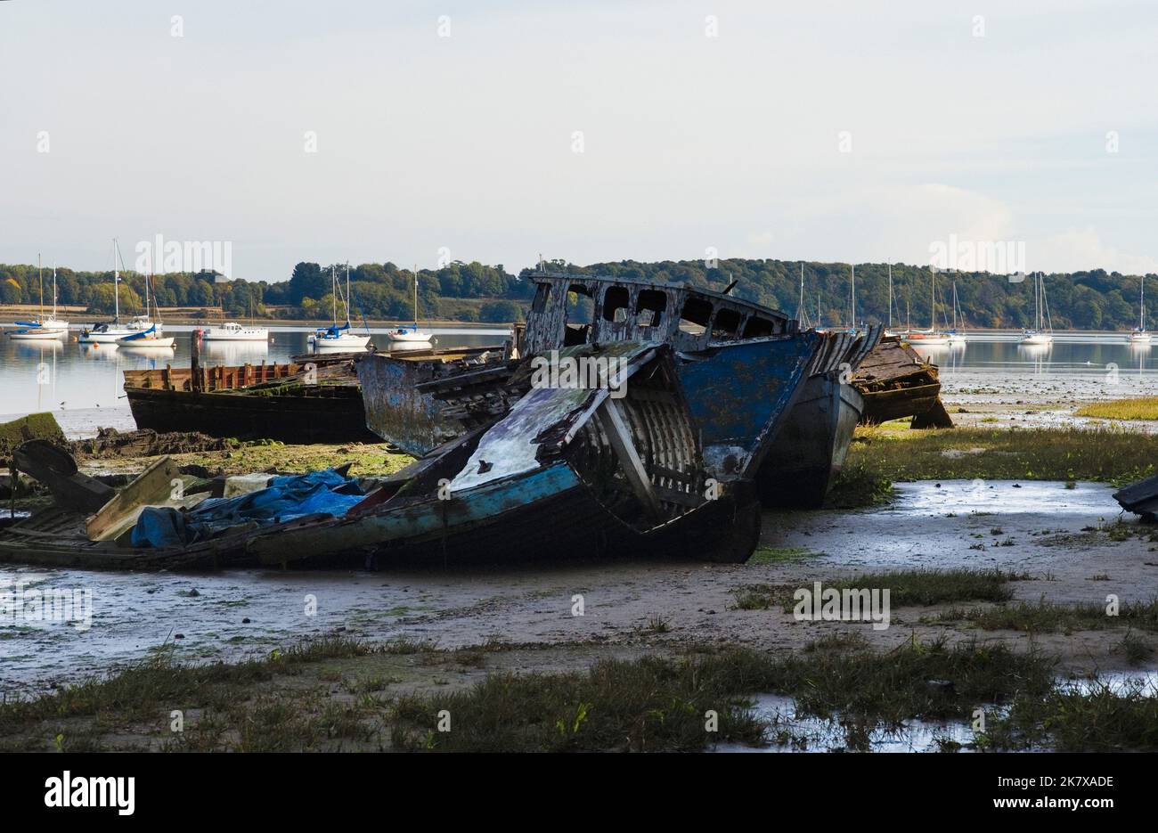 Rotting wooden sailing vessels at Pin Mill on the river Orwell, Surrey ...