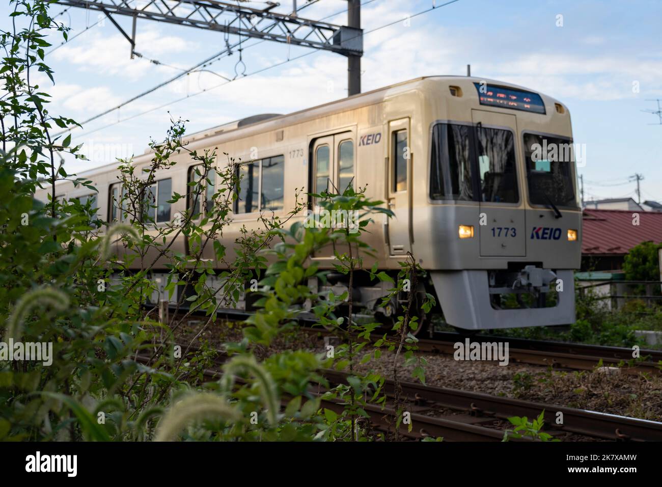 Tokyo, Japan. 19th Oct, 2022. A Keio Inokashira Line train, running ...