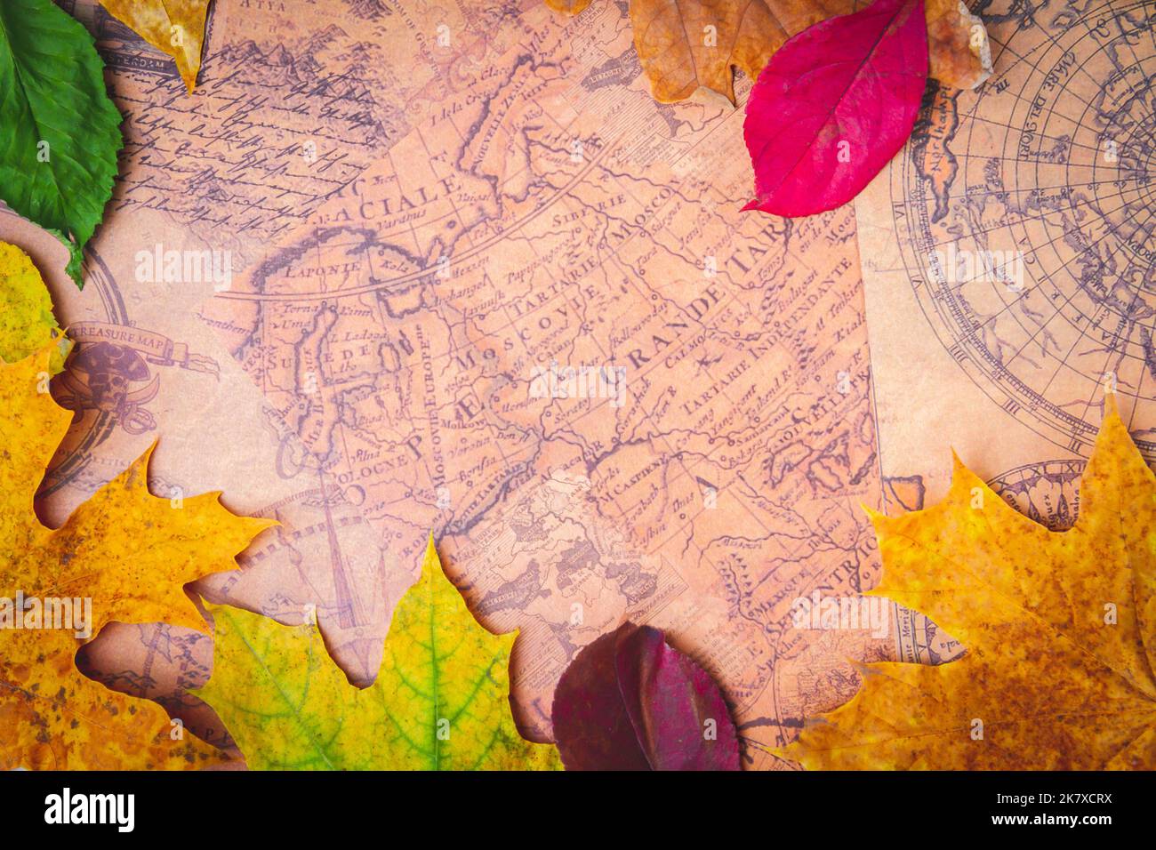 Map of leaves hi-res stock photography and images - Alamy