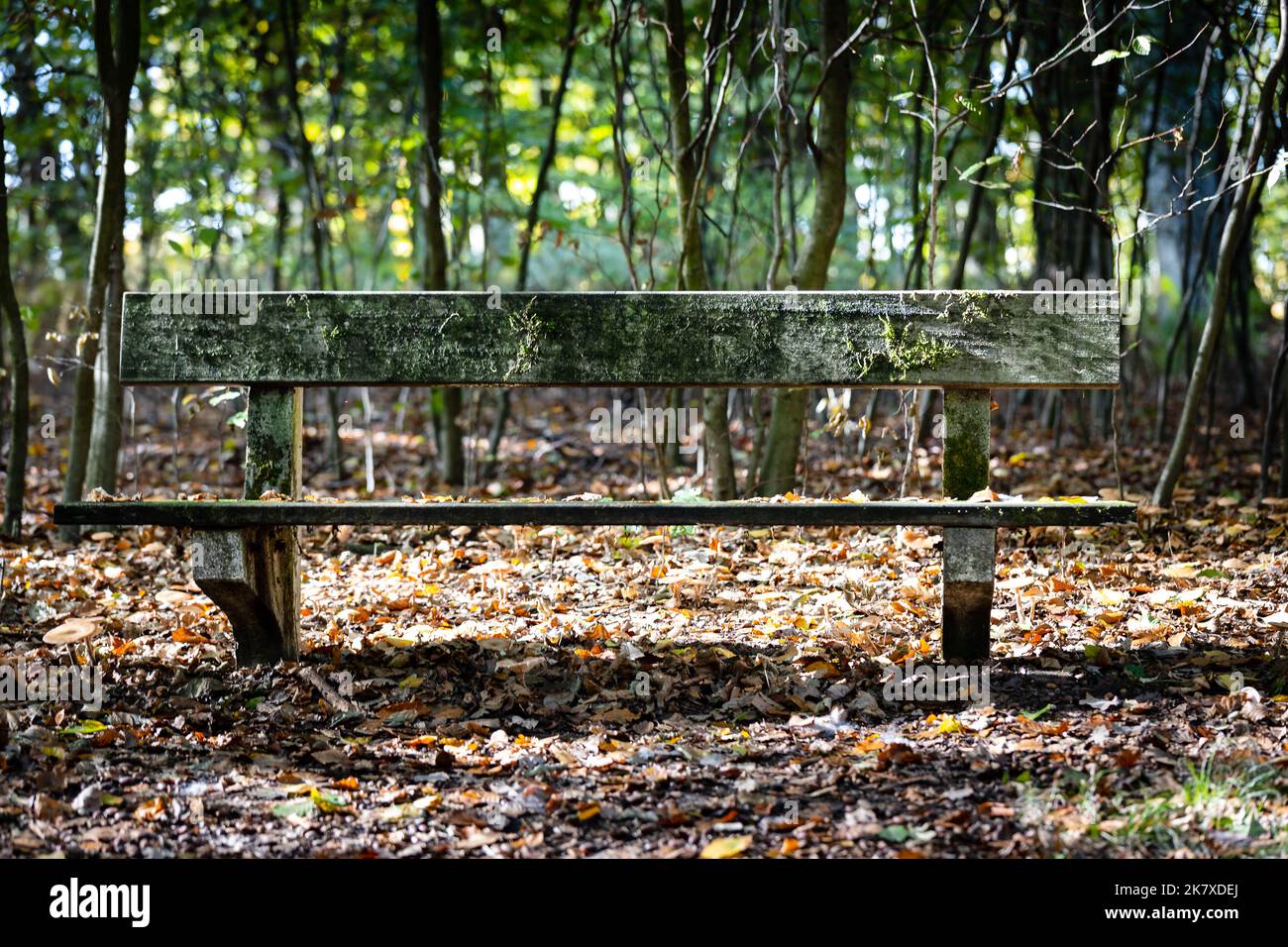 Rotten bench hi-res stock photography and images - Alamy