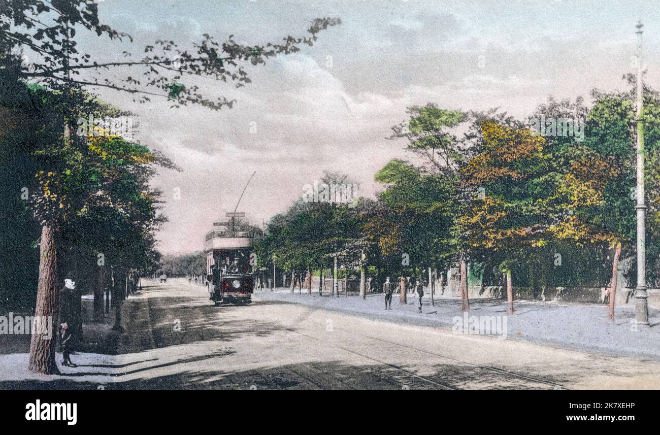1920's landscape view of Abbey Road, a tree-lined boulevard, Barrow-in ...