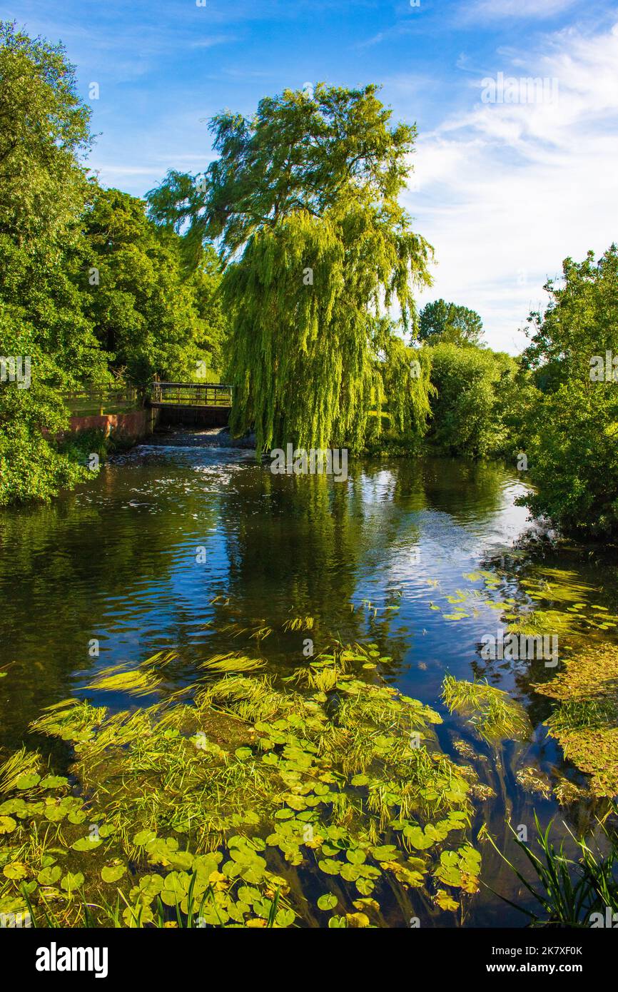 View of The River Stour in Wye village.It is a river in Kent, England ...