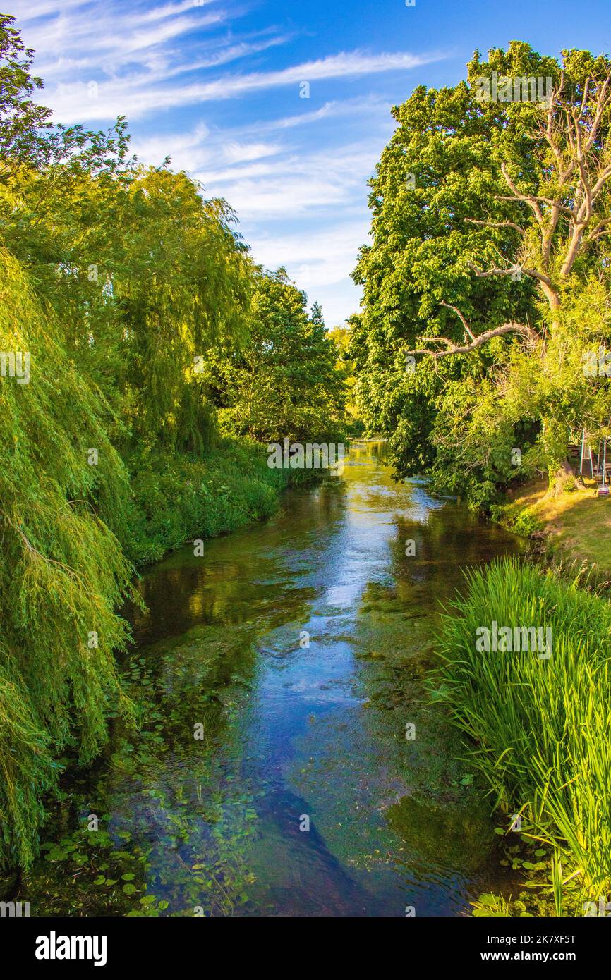 View of The River Stour in Wye village.It is a river in Kent, England ...