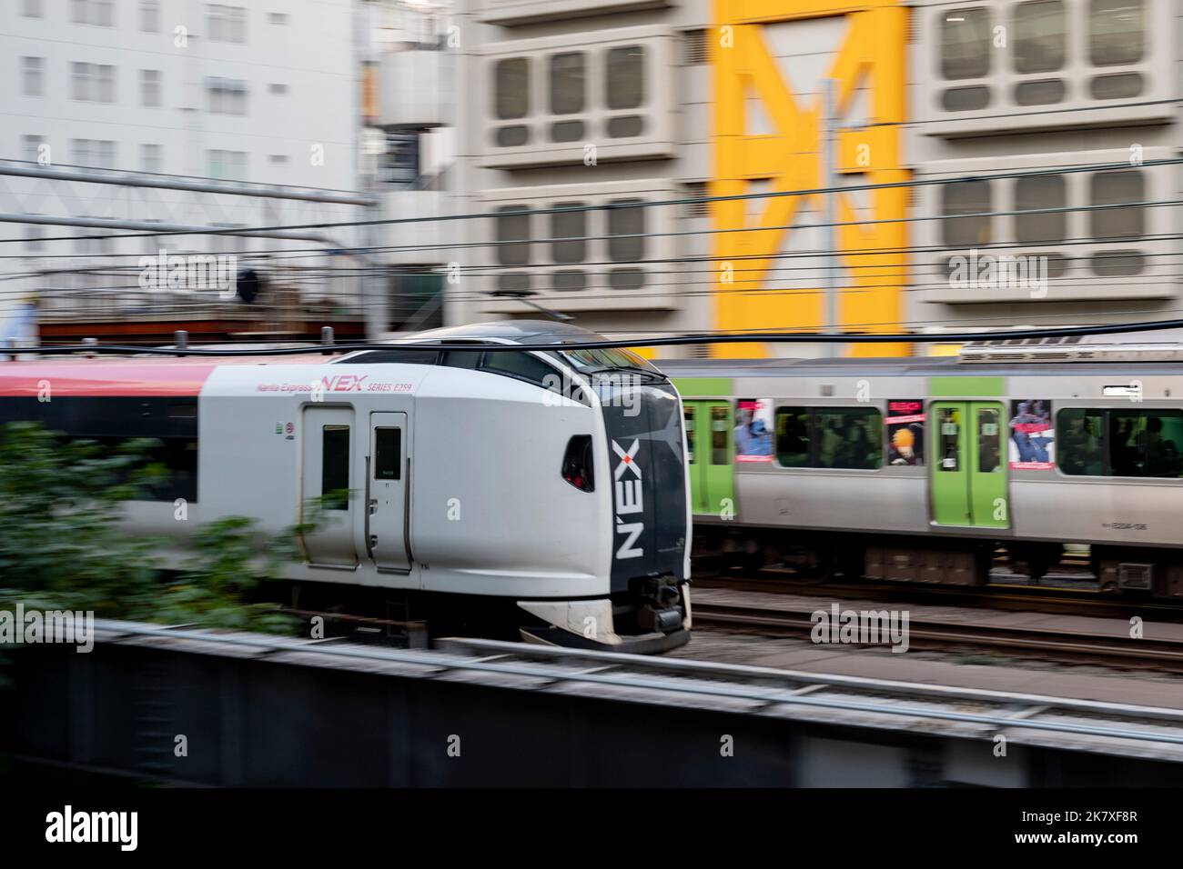 Tokyo, Japan. 19th Oct, 2022. The Narita Express airport shuttle train ...