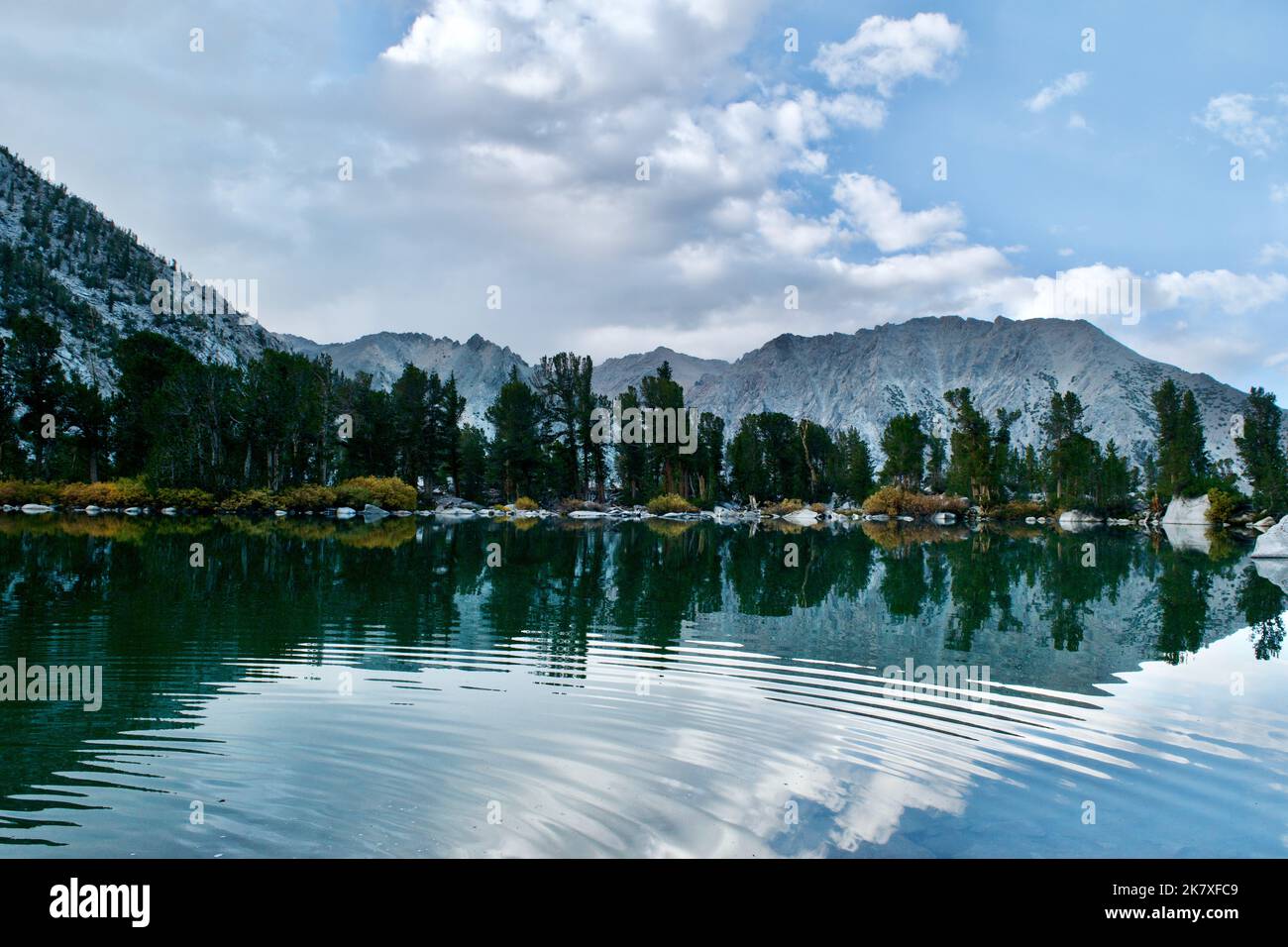 Wide view of ripples in an alpine lake with trees and mountains in the ...