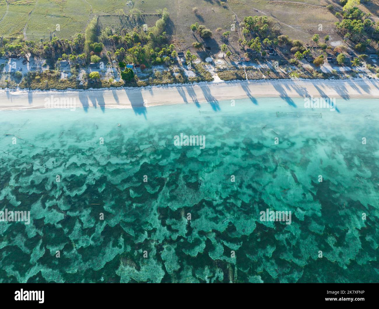 An expanse of sand and seagrass fringes a beautiful beach on the island ...