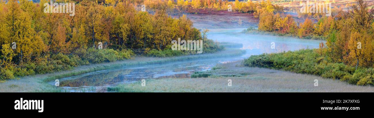 A river streaming through a colourfull autum forest with yellow Birch ...