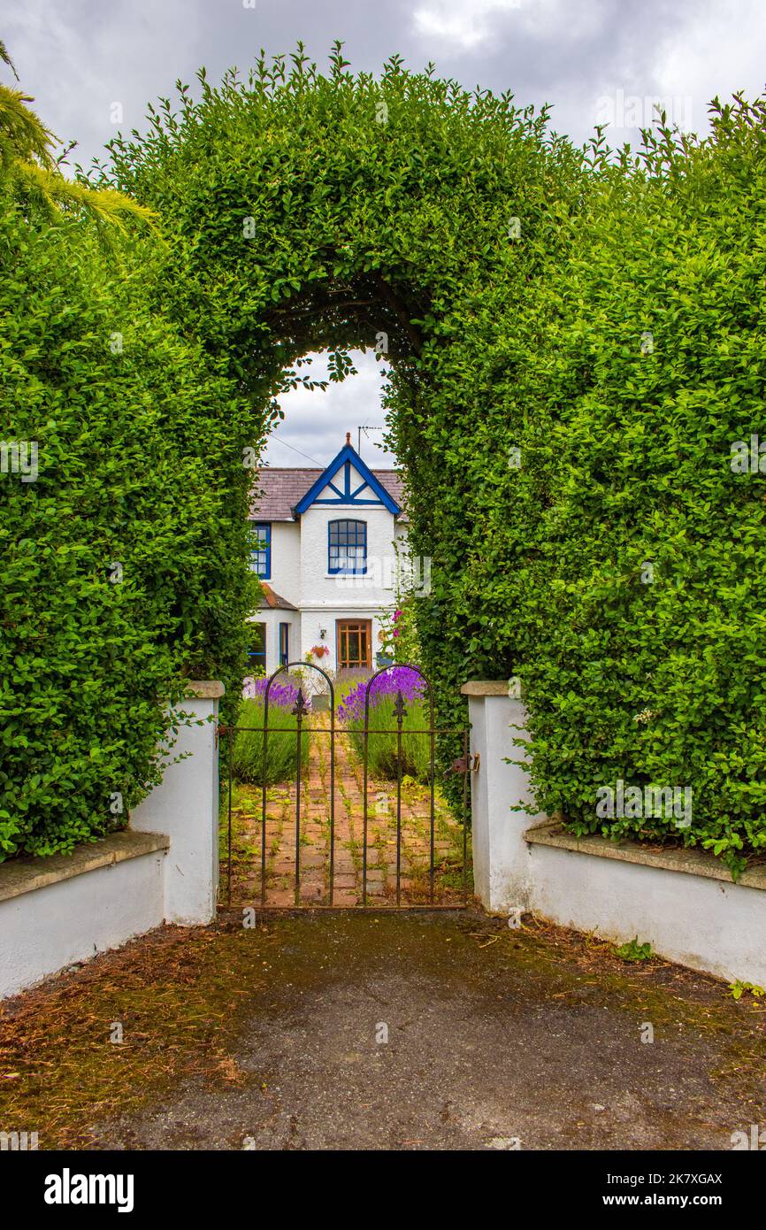 Nice old-world houses with structural wooden beams on the exterior ...