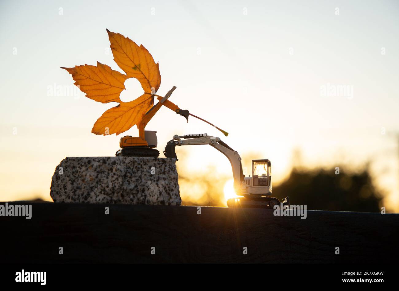 Two toy excavators with a yellow autumn leaf against a sunset golden ...