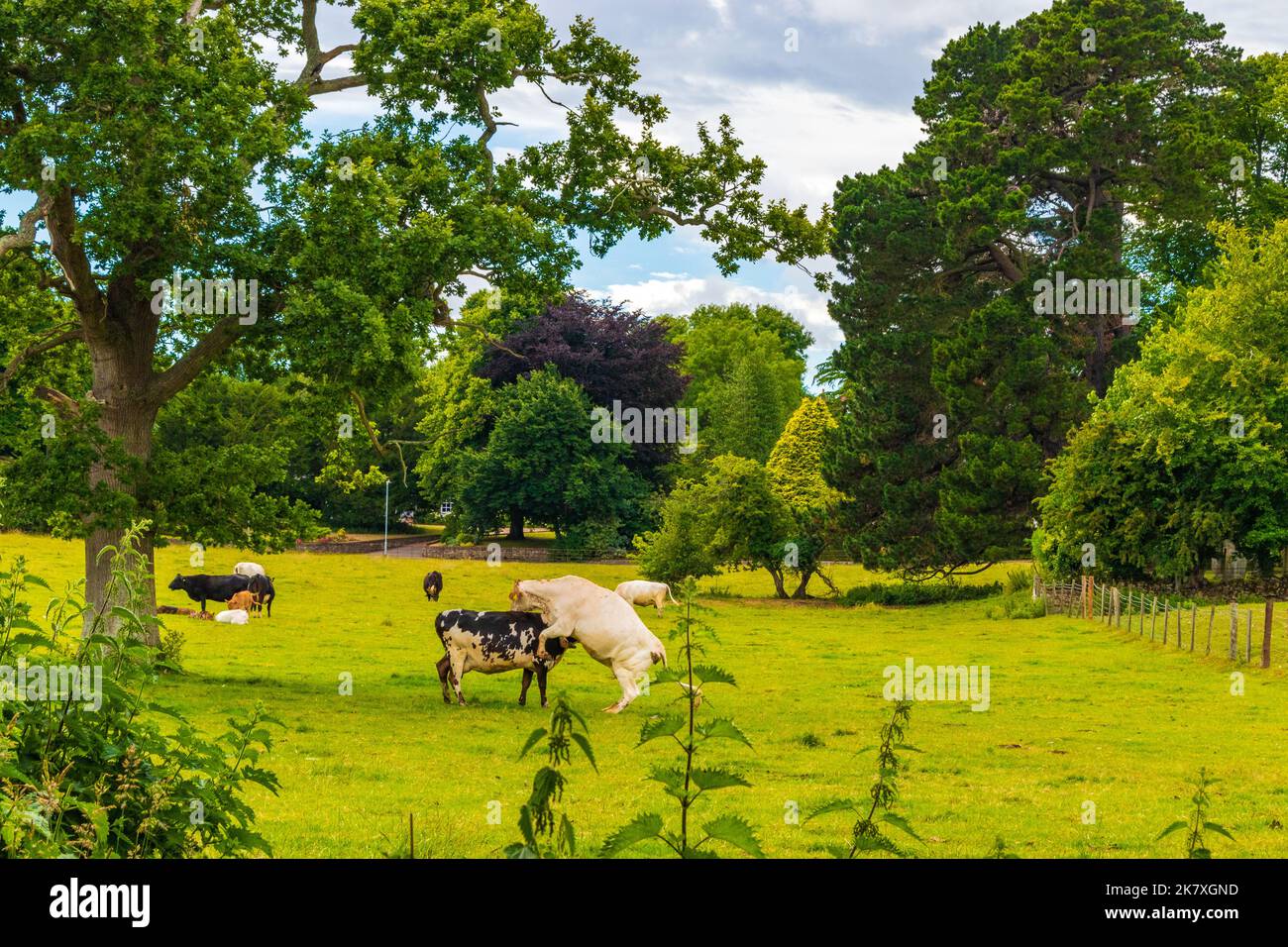 Saltwood hythe kent village hi-res stock photography and images - Alamy