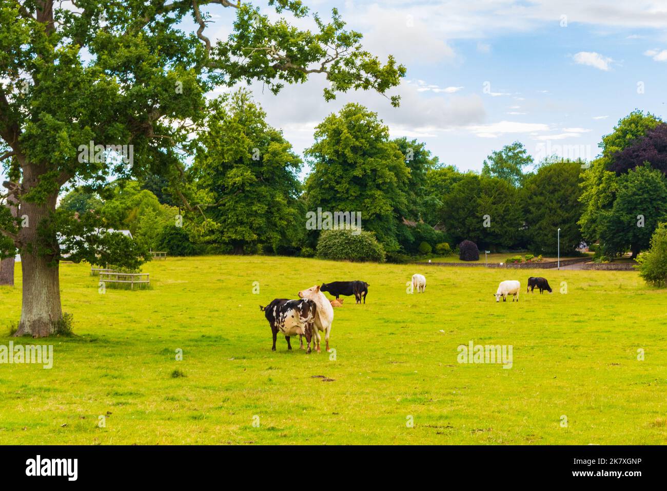 Saltwood hythe village hi-res stock photography and images - Alamy