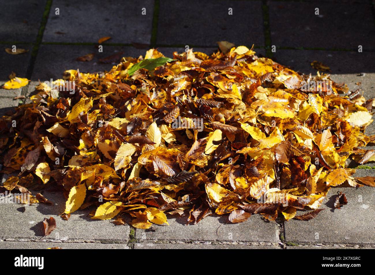 Sweep gardening hi-res stock photography and images - Alamy