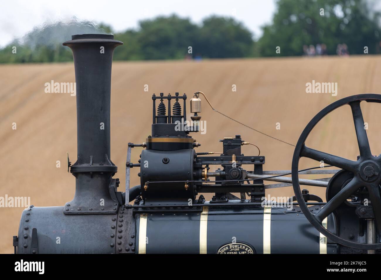 Tarrant Hinton.Dorset.United Kingdom.August 25th 2022.Close up of an ...
