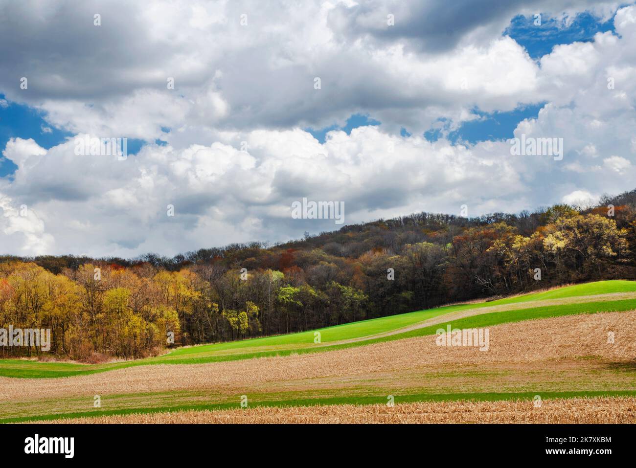 Spring bud out frames a as yet unplowed field in Sauk County, Wisconsin ...