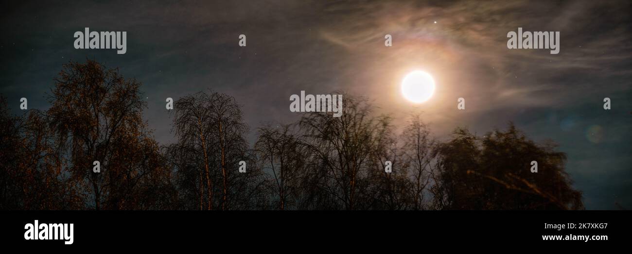 Wide panorama of shiny colorful full Moon on sky above birch forest on ...