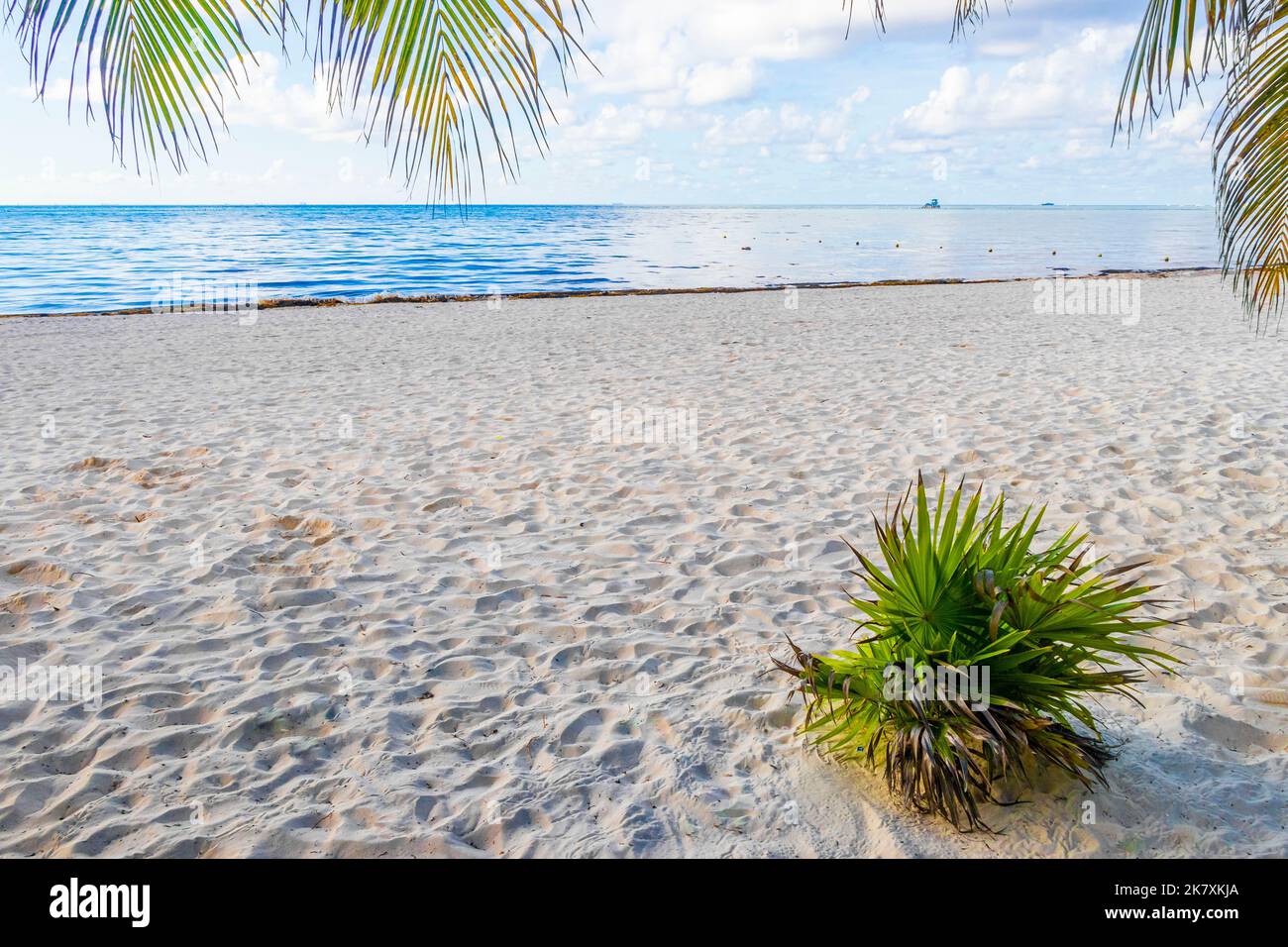 Mexican Beaches
