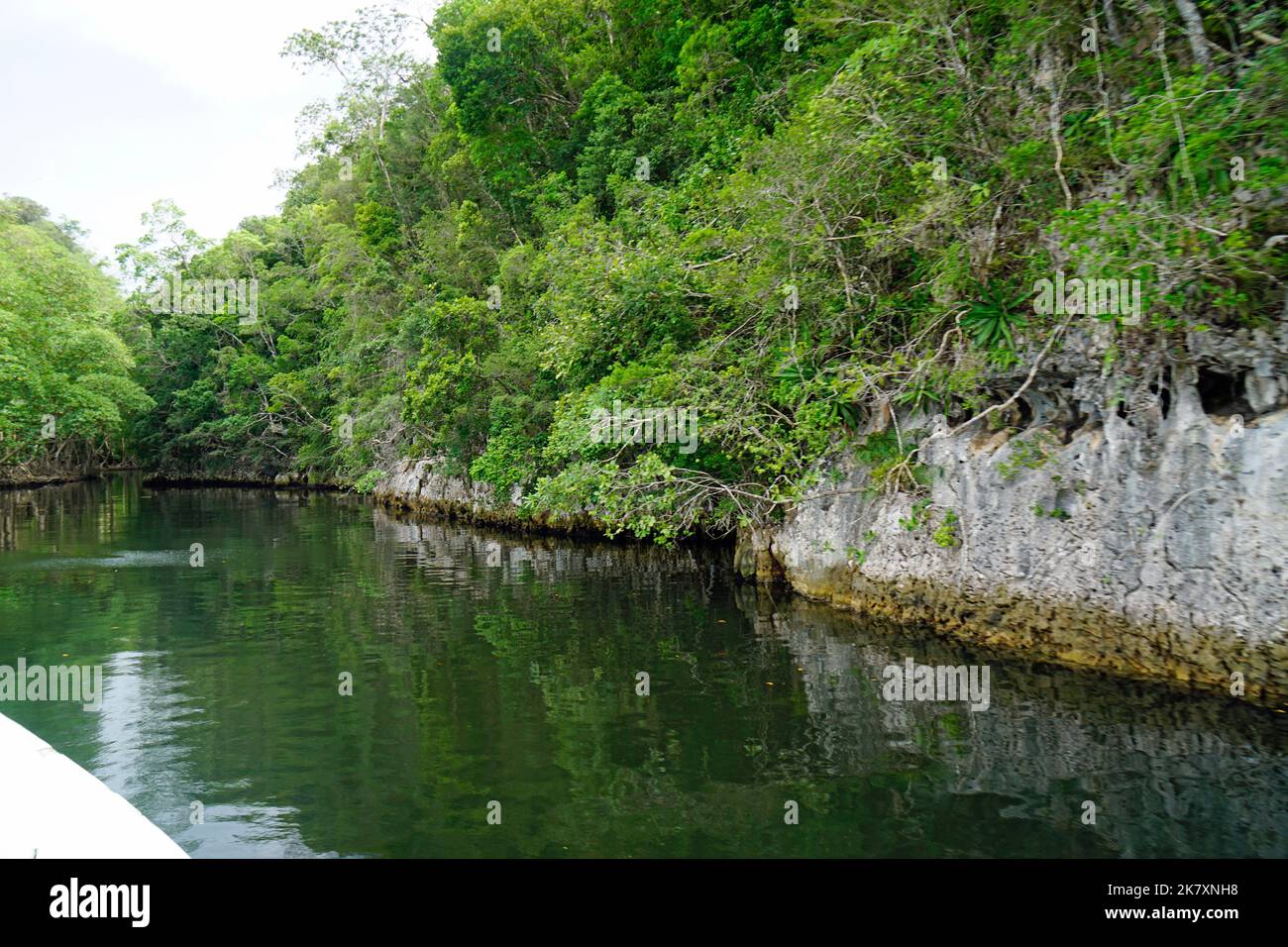 green bird island in the los haitises national park in the dominican ...