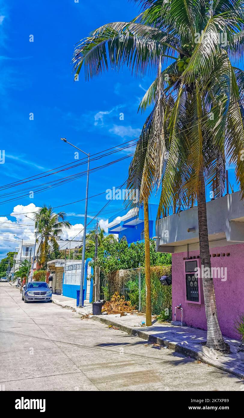 Typical street road and cityscape with cars traffic restaurants shops ...