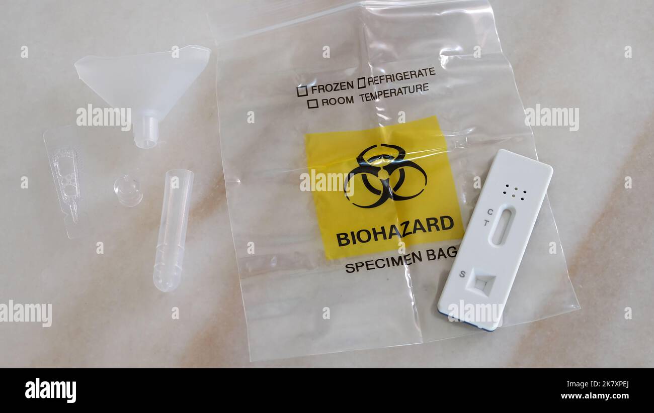 Top view of a home testing kit, with all the components spread out on ...