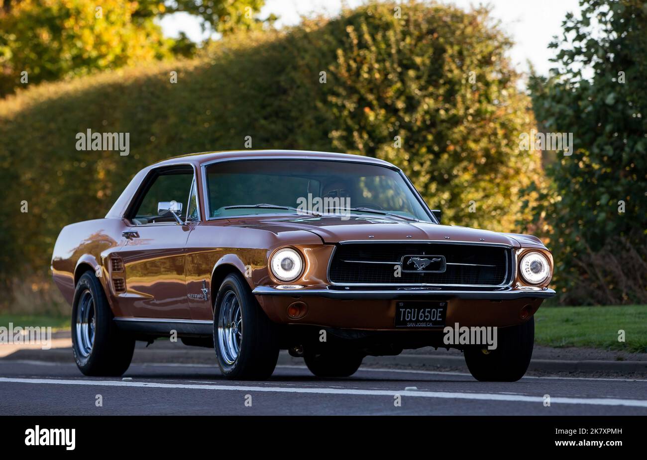 1967 Ford mustang classic car Stock Photo - Alamy