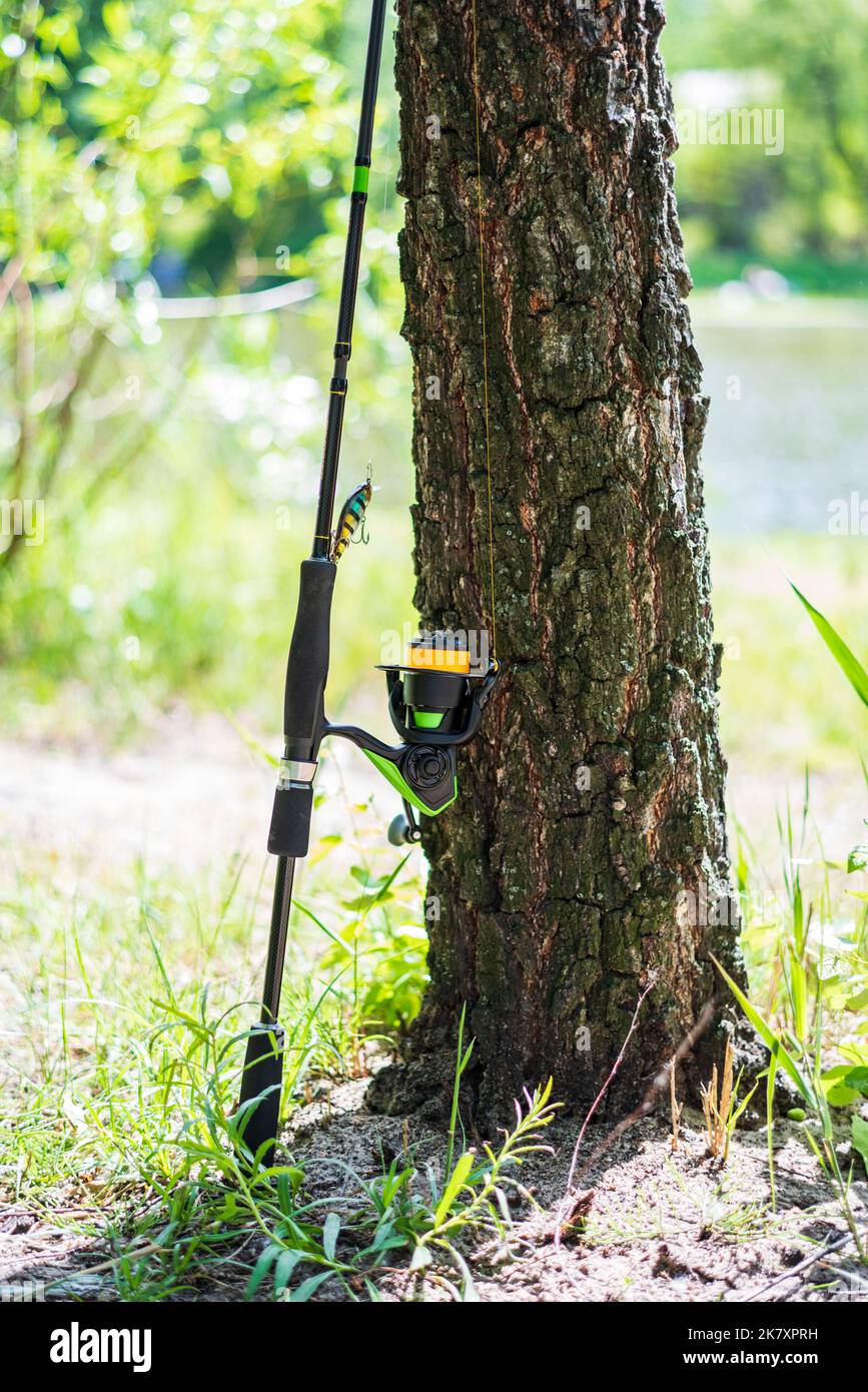Spinning and reel near the tree. Fishing composition of rod and bait ...