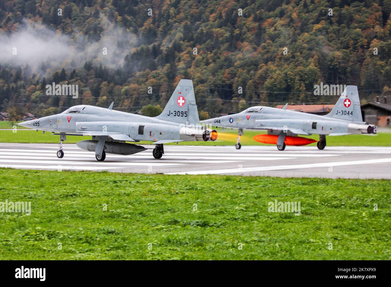 F 5e tiger hi-res stock photography and images - Alamy