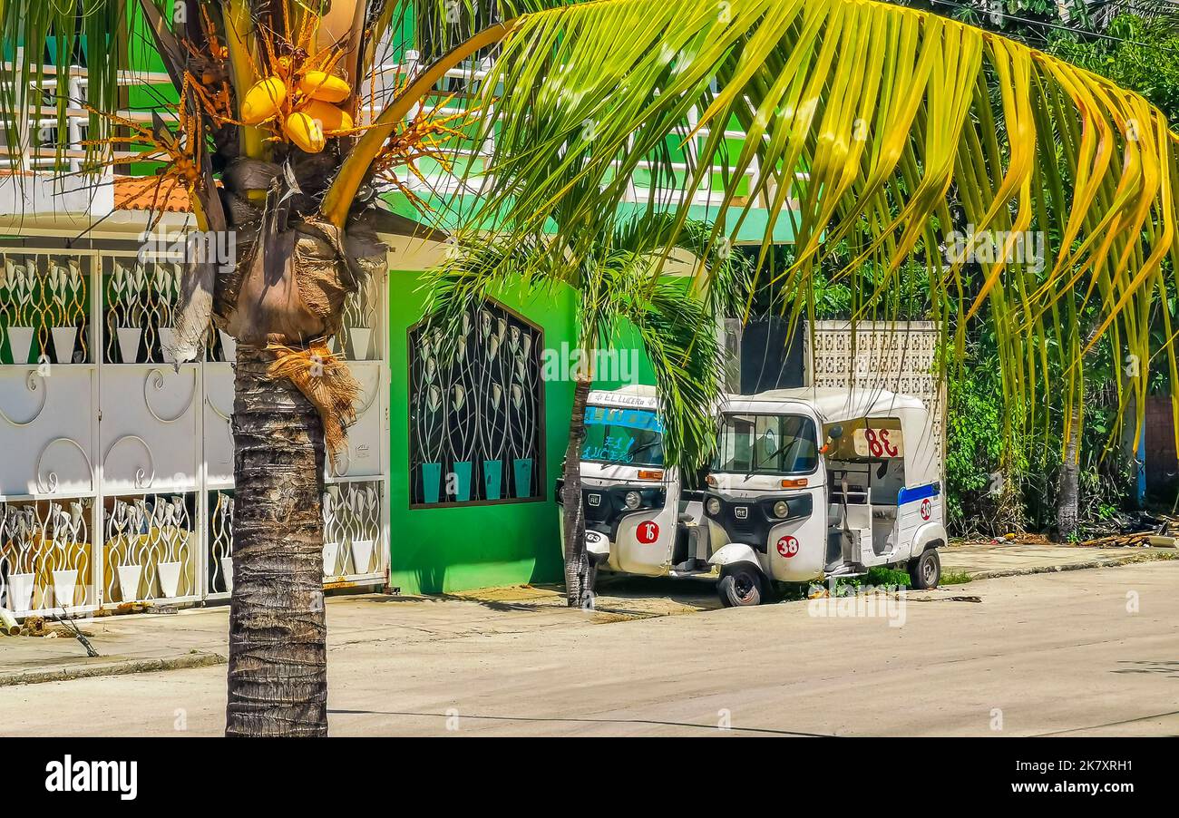 Typical street road and cityscape with cars traffic restaurants shops ...