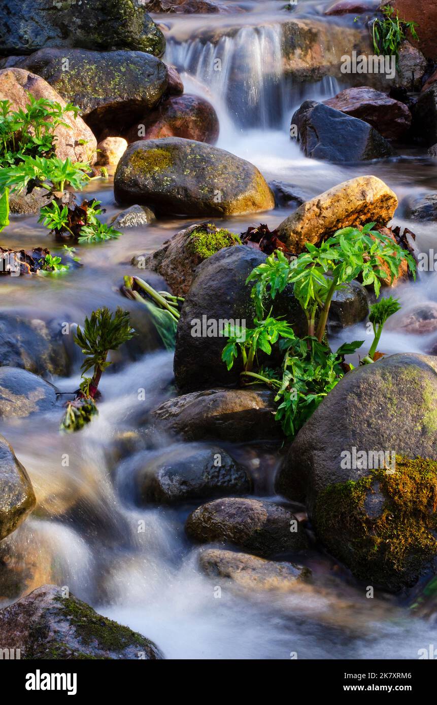 A section of Parfrey's Glen Creek is detailed in this spring scene ...