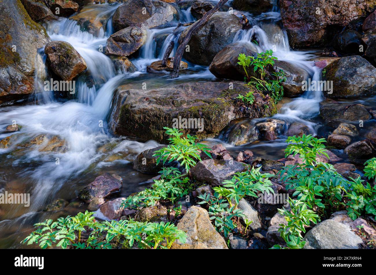 Water gurgles down some rocks in Parfrey's Glen, Devil's Lake State ...