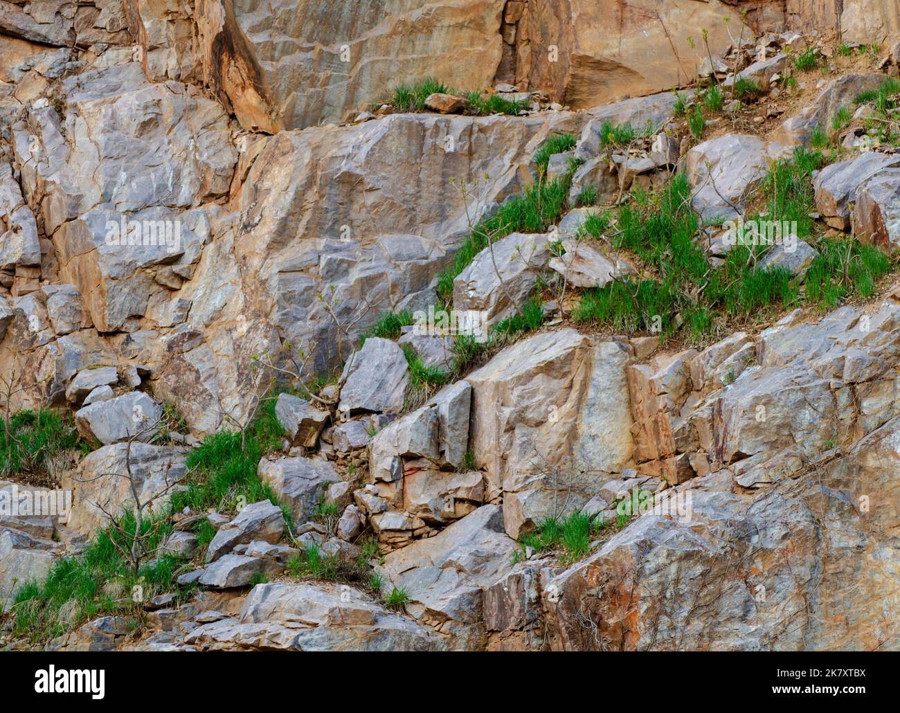 Grasses grow on ledges on a cliff wall at the Lower Narrows Unit State ...