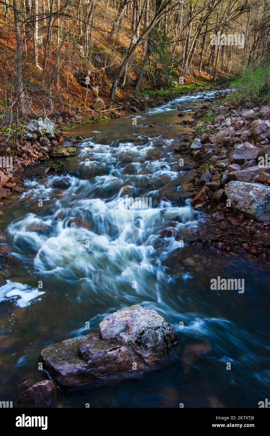 Otter Creek flows with spring water, Baxter's Hollow State Natural Area ...