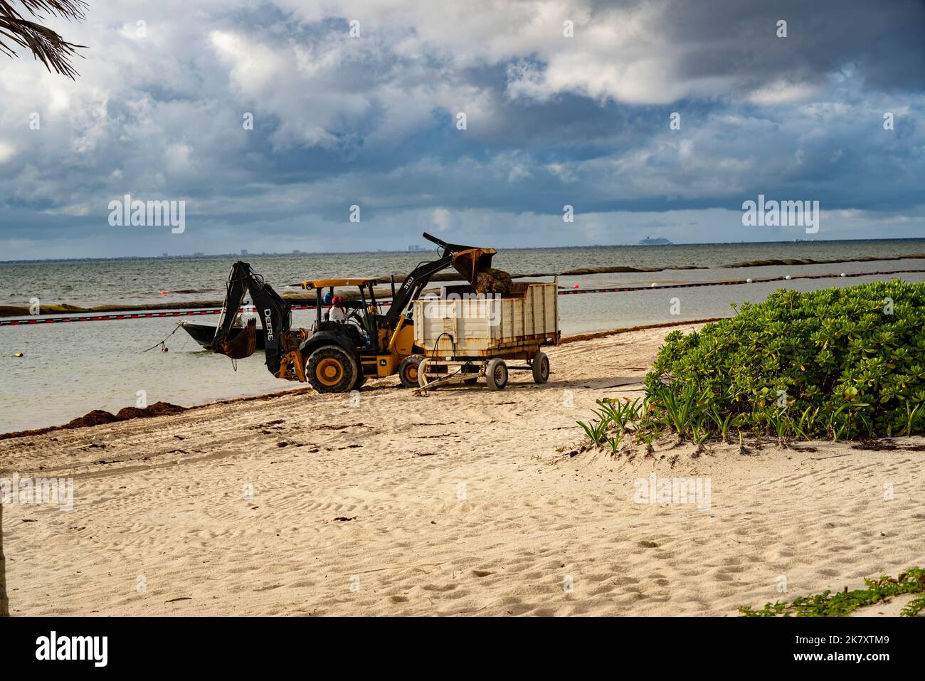 Beach Cleanup, Mexico Stock Photo - Alamy