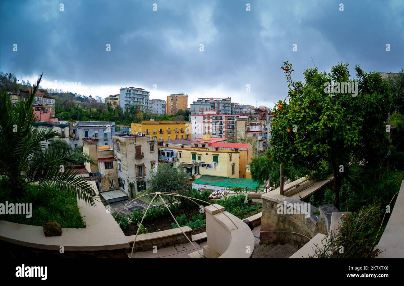 Neapolitan yellow hi-res stock photography and images - Alamy