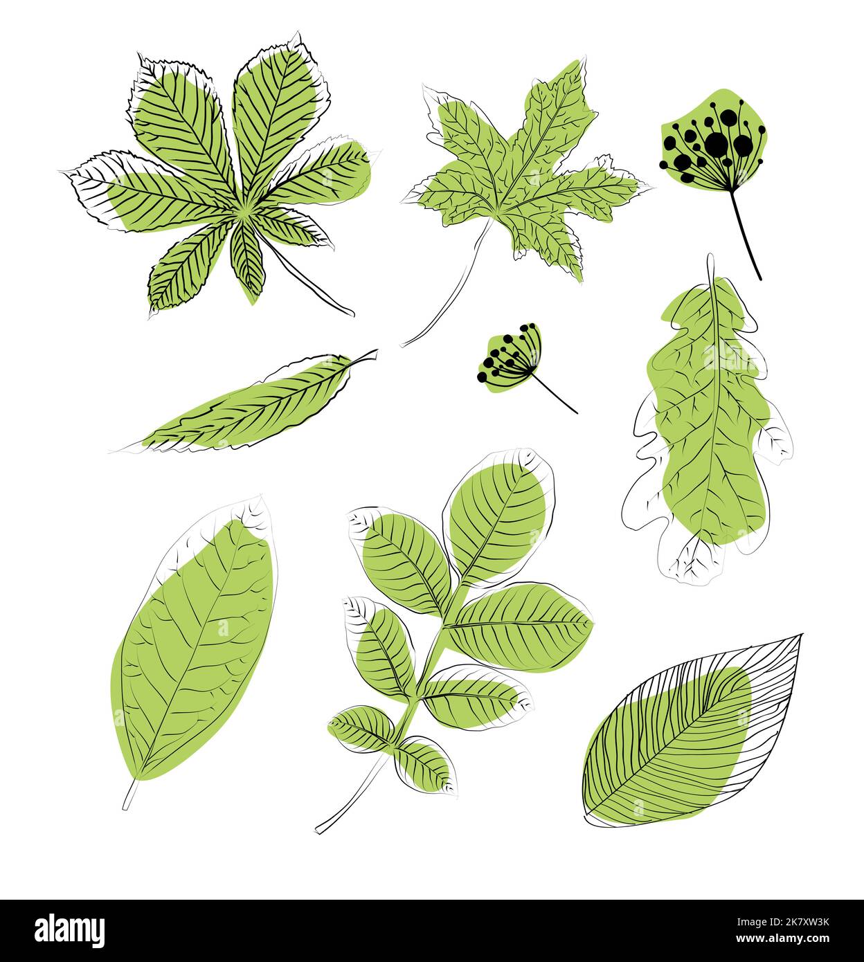 green decorative autumn leaves. Vector illustration Stock Vector Image ...