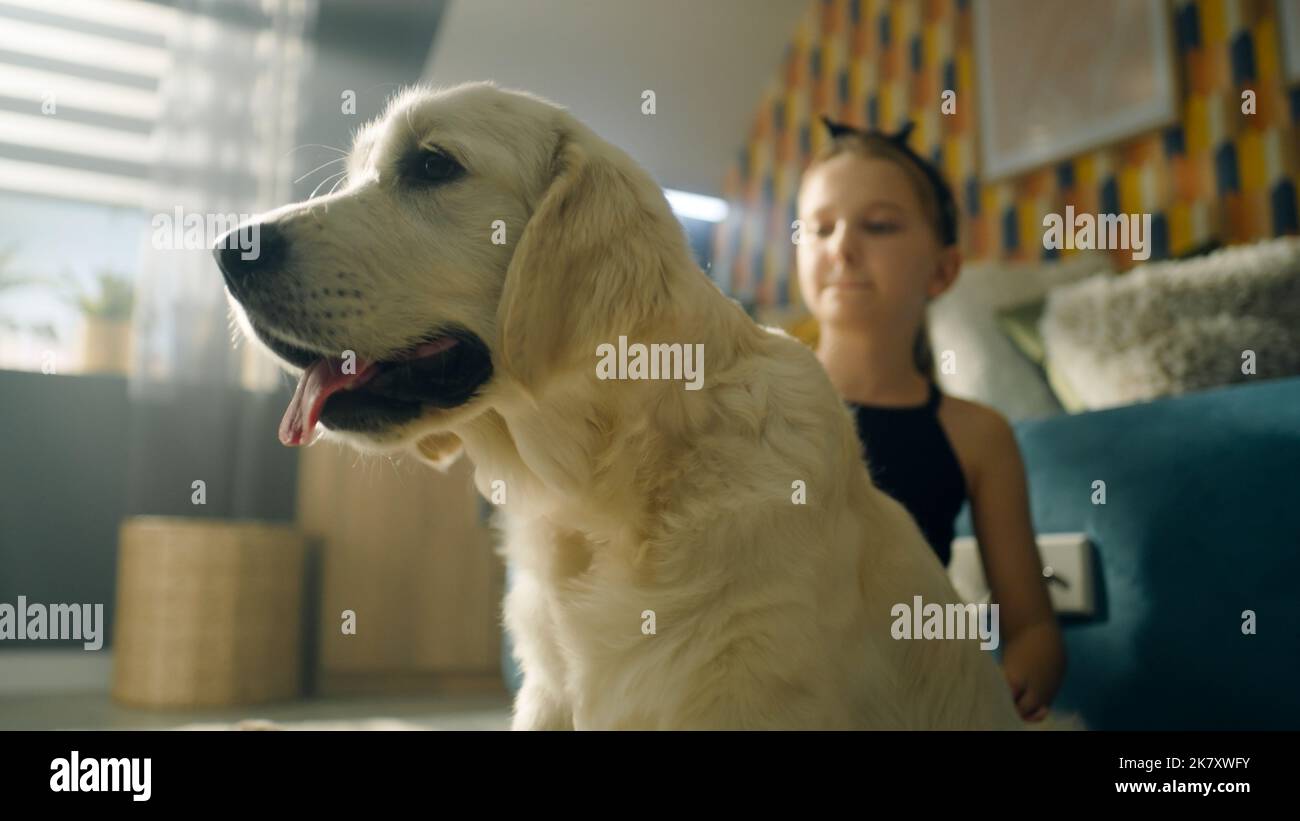 Young girl playing with dog, smiling and laughing, sitting together on ...