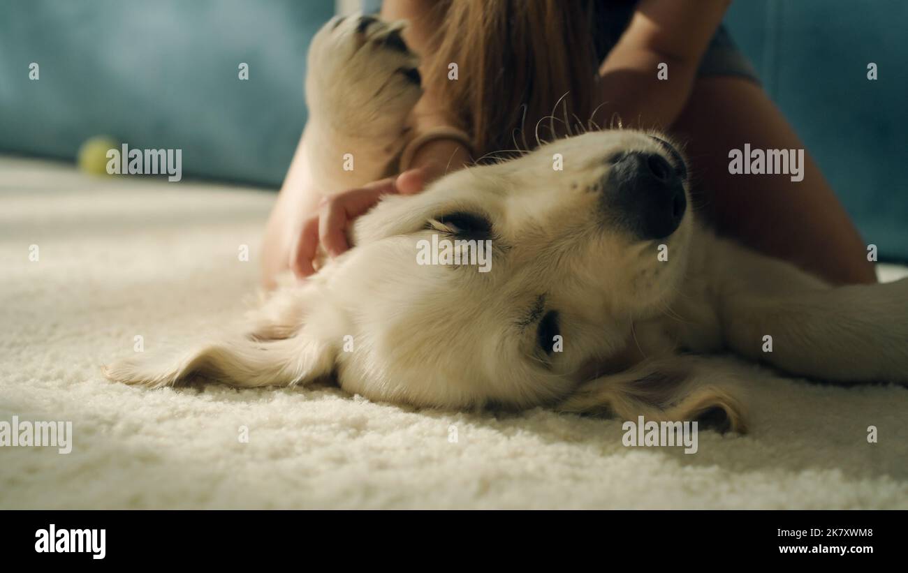 Young girl playing with dog mouth on mild carpet, watching on teeth ...