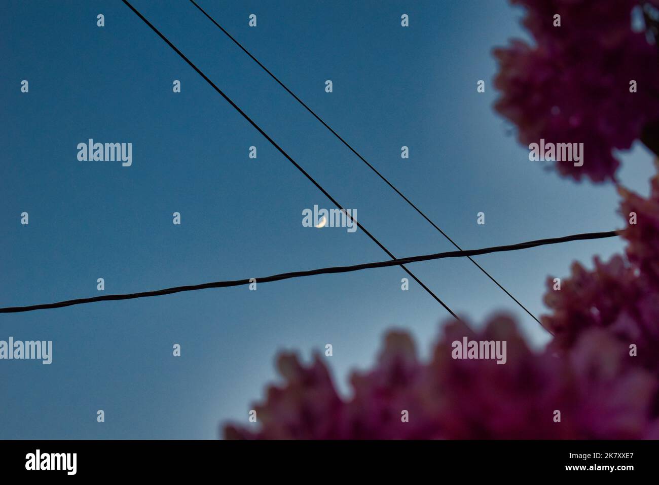 Moon During the Day Stock Photo - Alamy