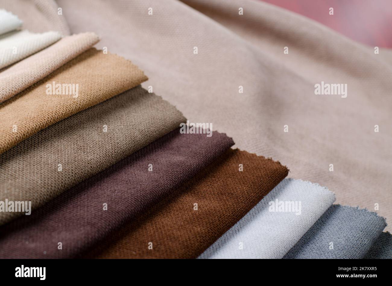 Light Set Sail Champagne and brown colors velour textile samples Stock ...