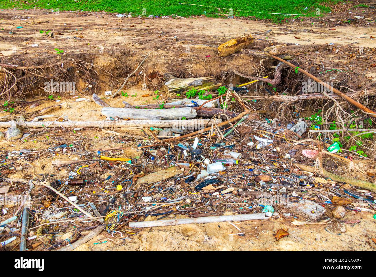 Garbage Dirt Plastic Poison Litter and Pollution on the Beach in ...