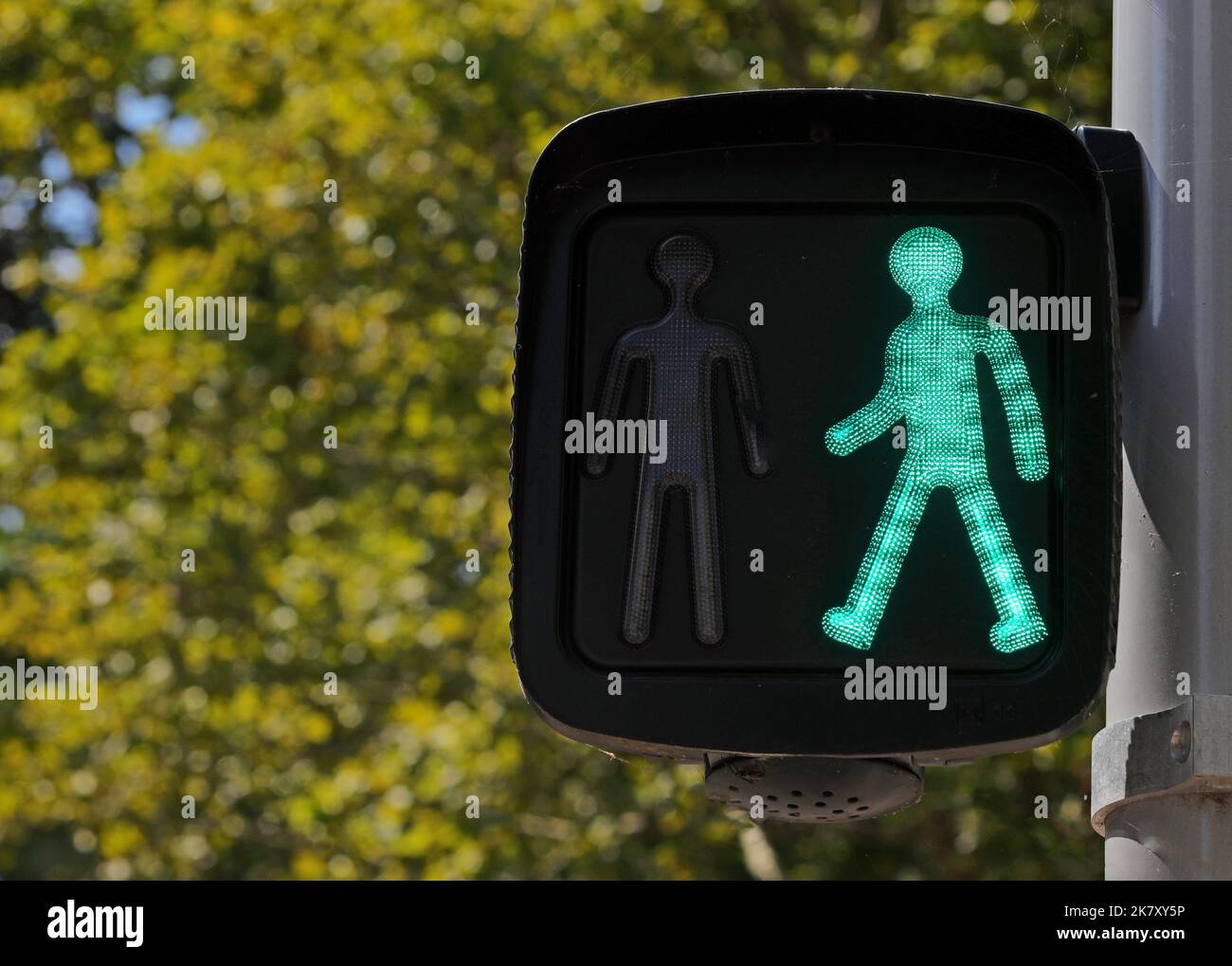 bright green traffic light man in the city symbolizing that you can ...
