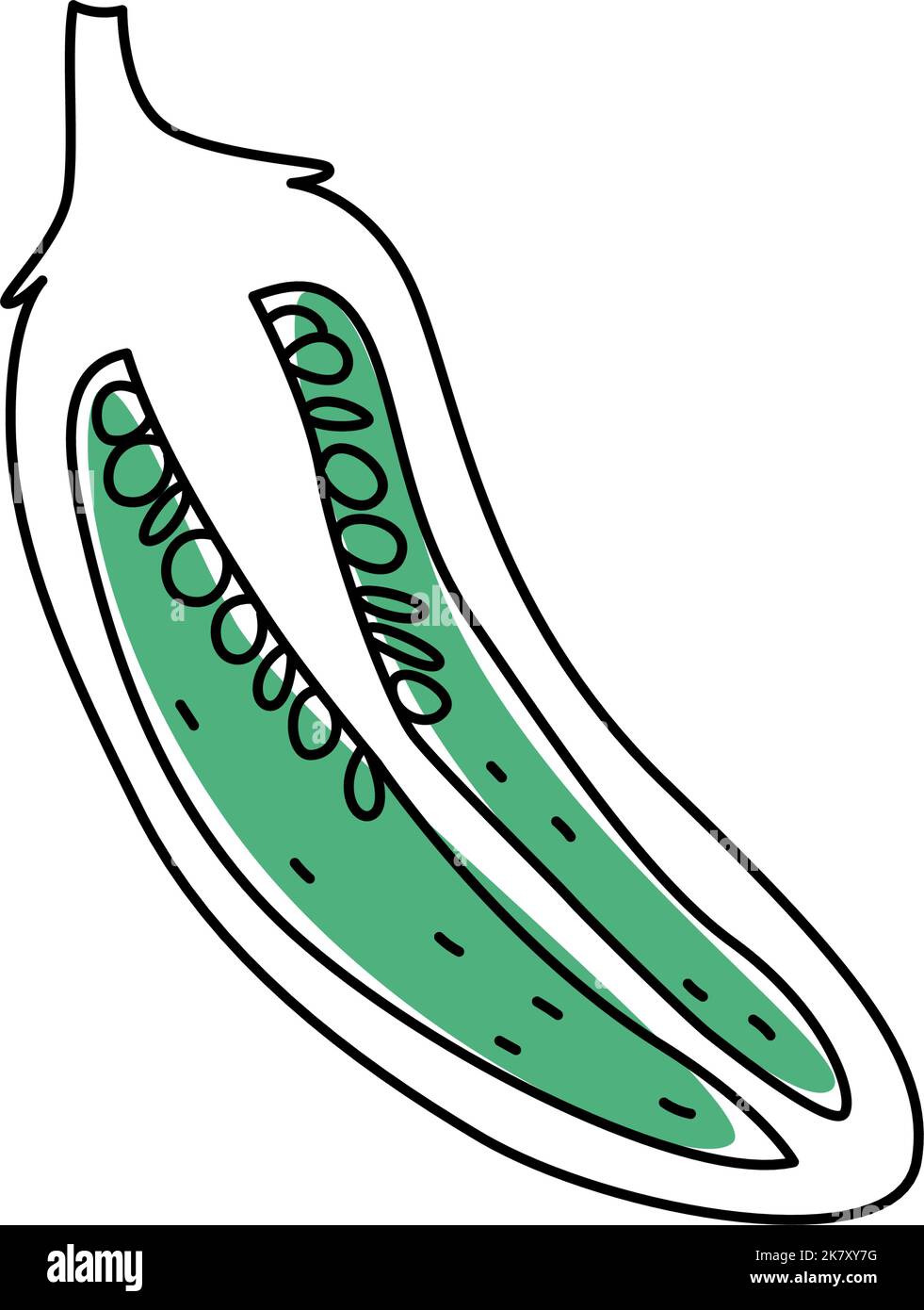 Doodle outline green half jalapeno chili pepper with spot. Vector hand ...