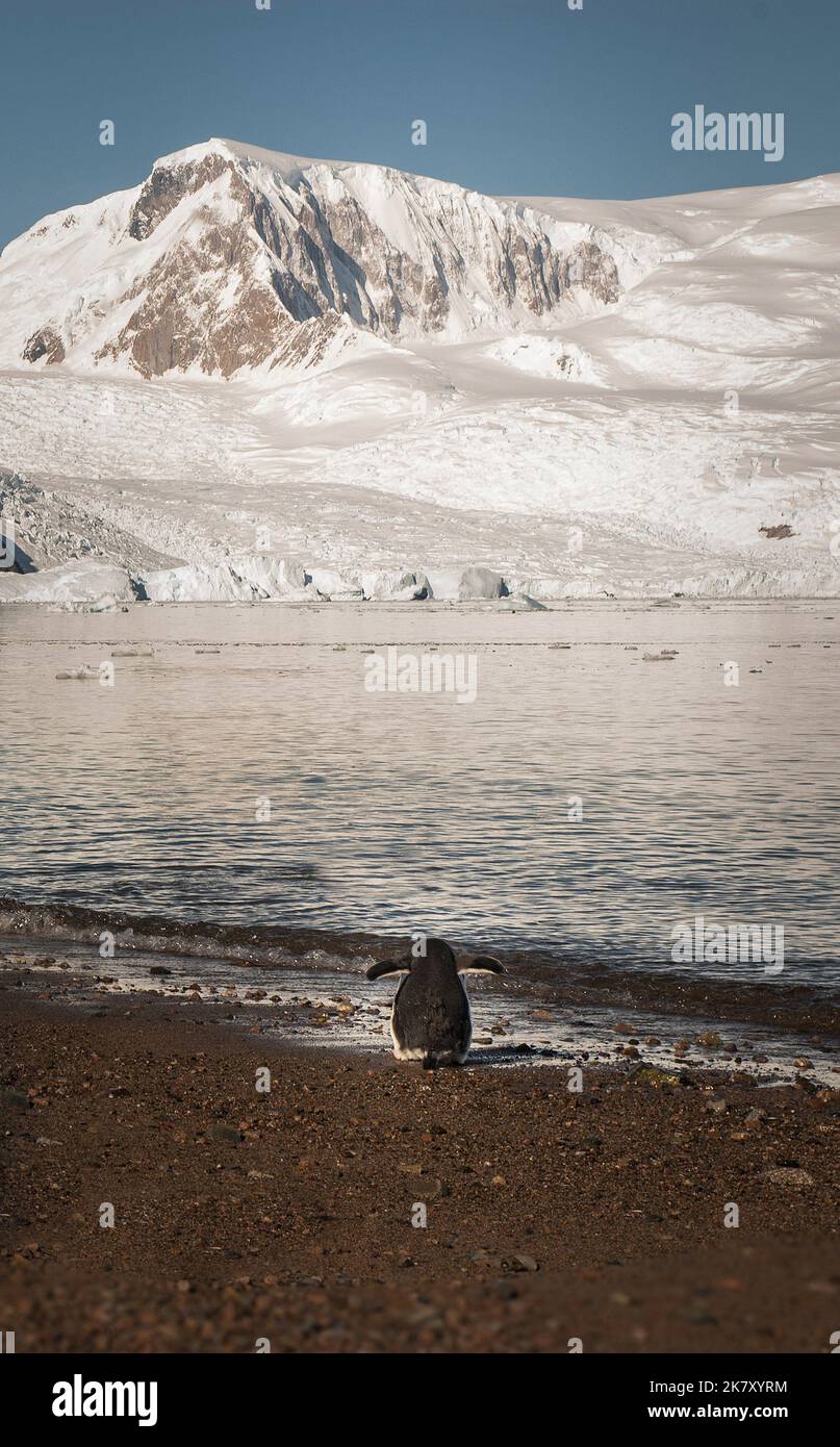 Antarctic mountains end sea landscape, Antartica Stock Photo - Alamy