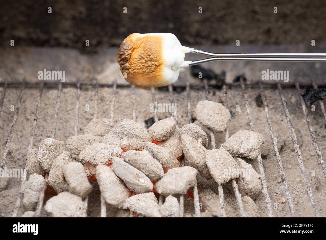 Golden marshmallow roasting over coals Stock Photo - Alamy